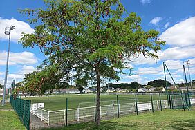Terrains de foot - Héric